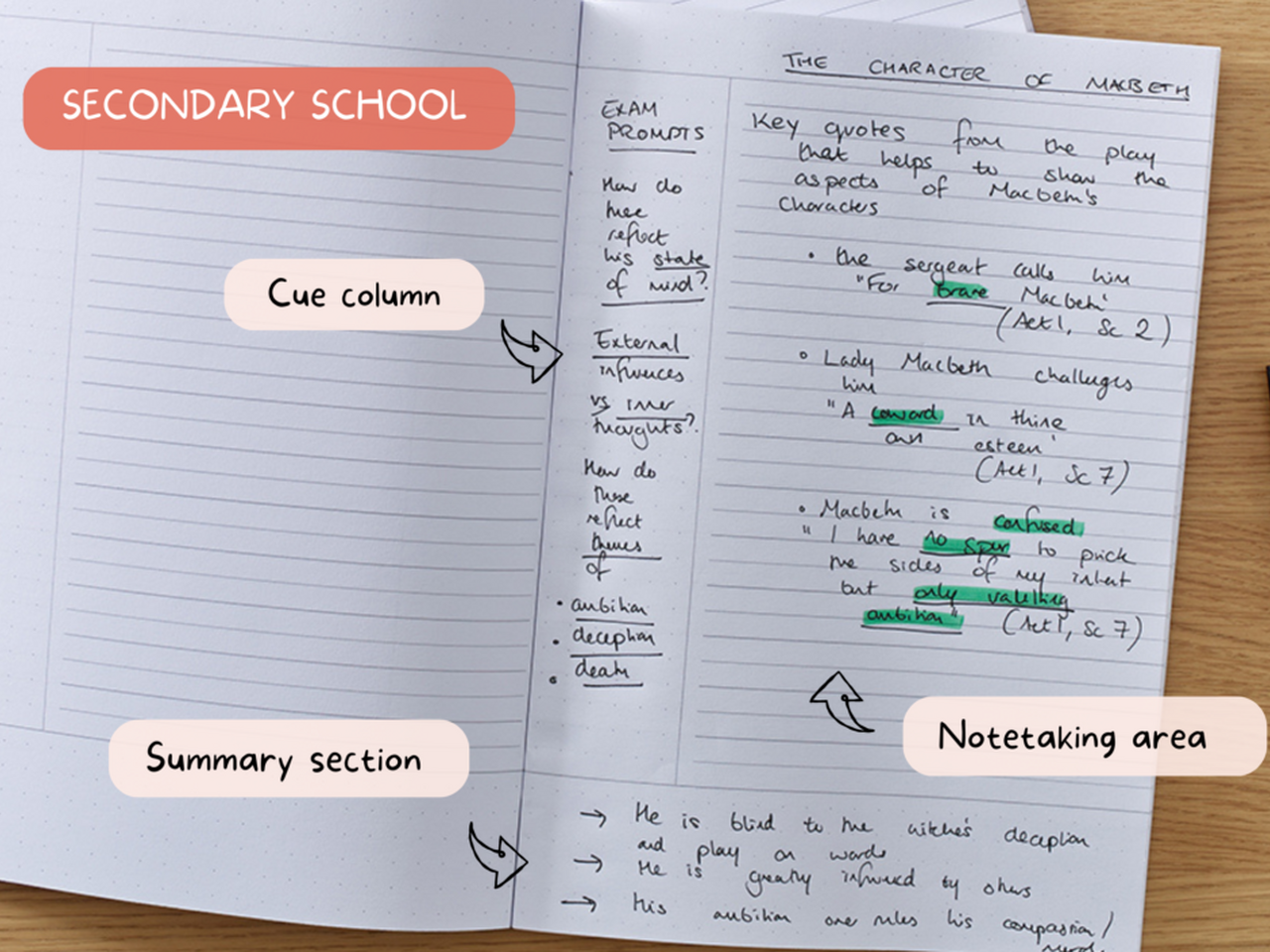 How to Use Cornell Rulings in Primary and… | Victor Stationery